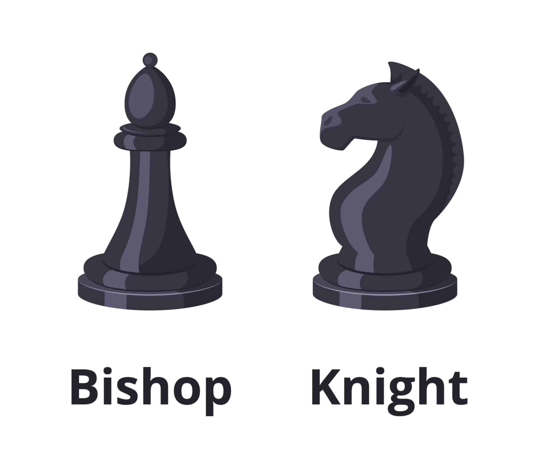 Chess Strategies Guide : Section 3 (Studying the Pieces) - Chess Game ...